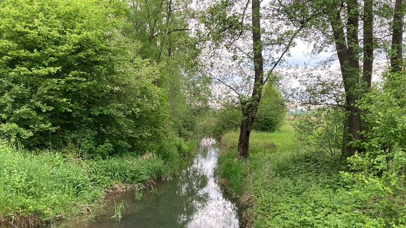 Aqua & Gas | Plateforme pour l’eau, le gaz et la chaleur | Conseil ...